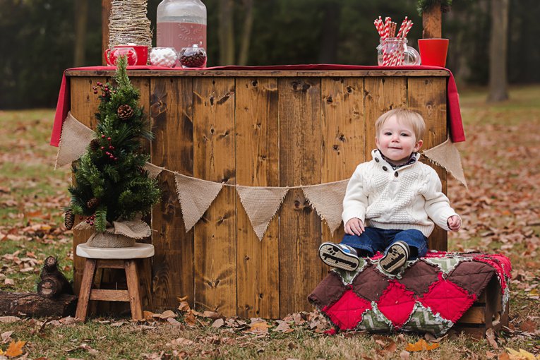 Christmas Mini Sessions in Delafield Wisconsin » Andrea Ryerson Photography